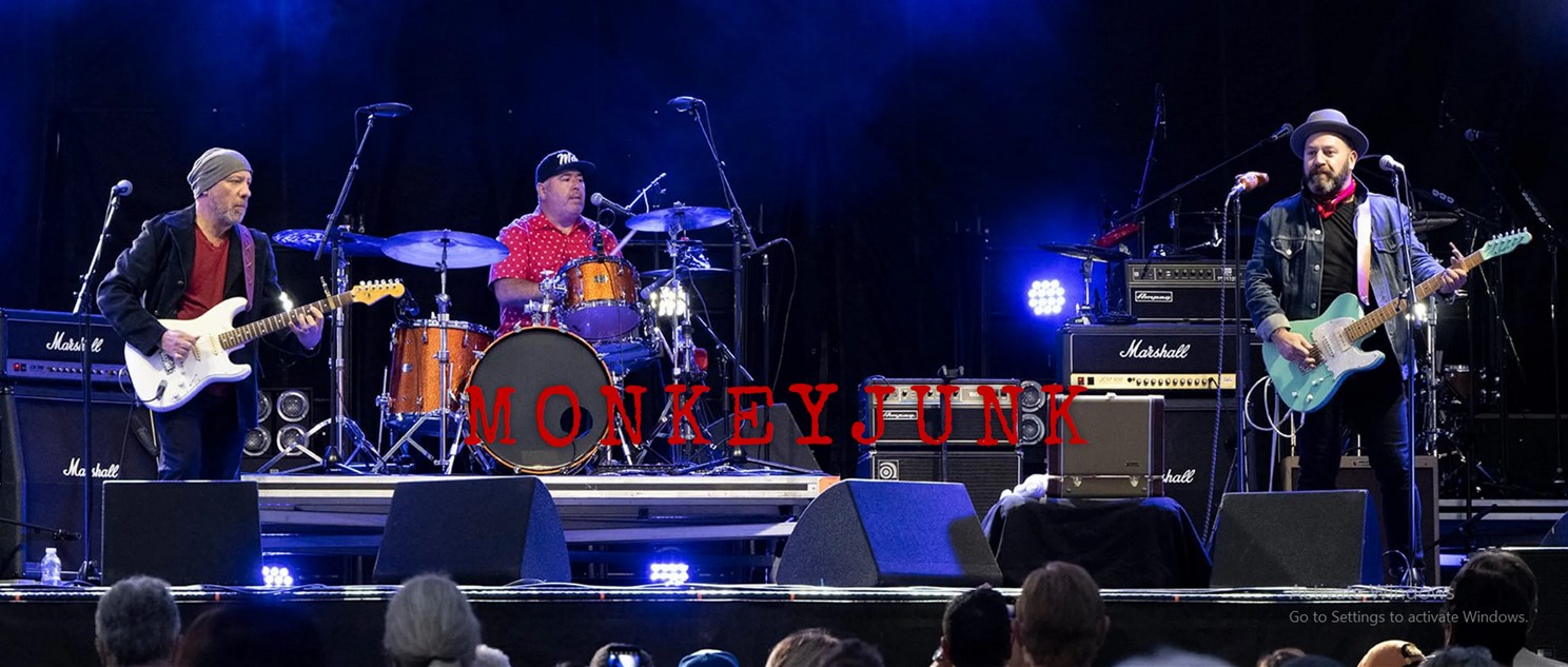 Wide Skies Music & Art Festival